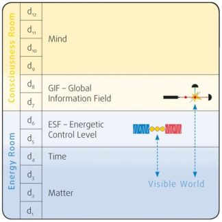 Introduction of the 5th and 6th Dimension Information Field of Burkhard ...